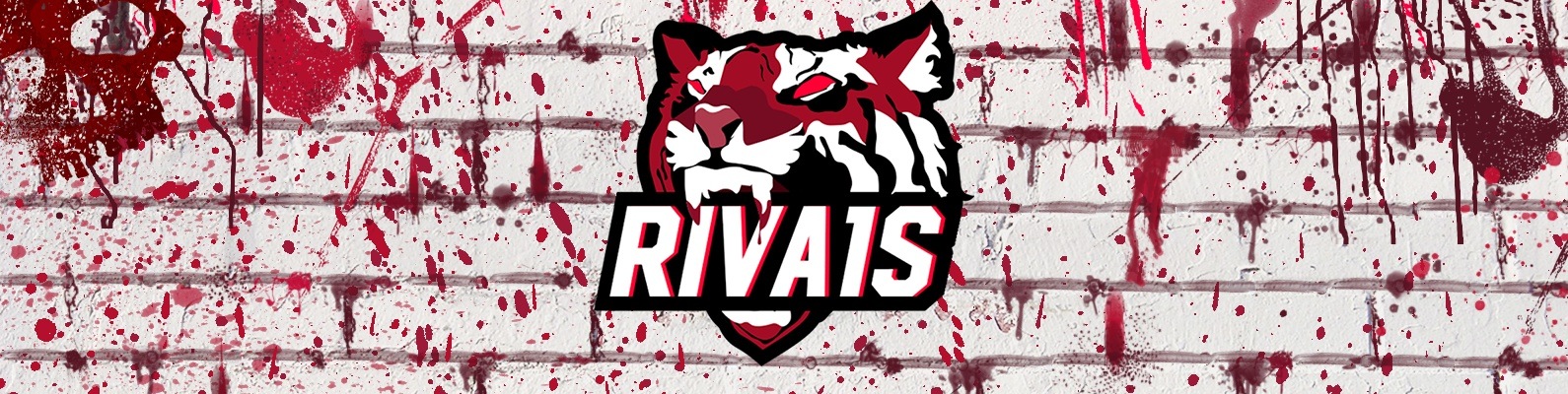 Clan of Rivals | Clan of Riva1s - это проект целью которого является ...